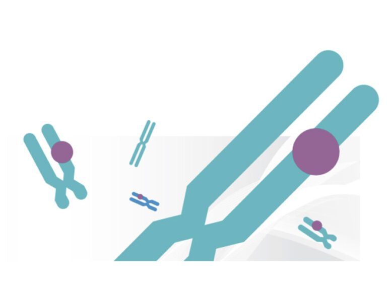 Explaining the whole karyotyping technique and procedure – KaryotypingHub