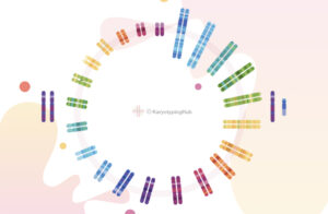Definition of karyotype in biology – KaryotypingHub