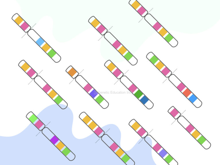 Comparison Between Karyotyping and Microarray – KaryotypingHub