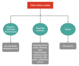 Cell Culture: Definition, Types, Media and Examples – KaryotypingHub
